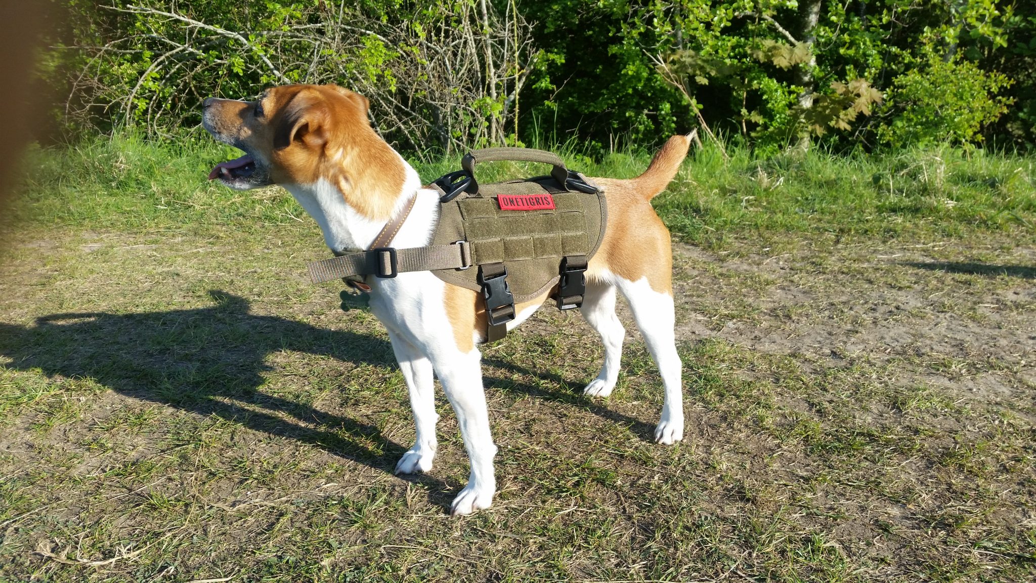 One Tigris tactical harness – The 12th Sagittarian Outdoors